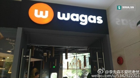 Wagas Menu: Phân Tích Thực Đơn Chi Tiết Và Triết Lý Ẩm Thực Tinh Hoa ...