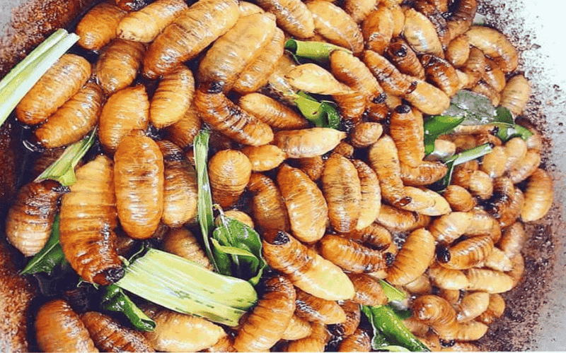 Đặc Sản Bến Tre: Top Món Ngon Nhất Định Thử & Mua Làm Quà - Hà Nội Đẹp
