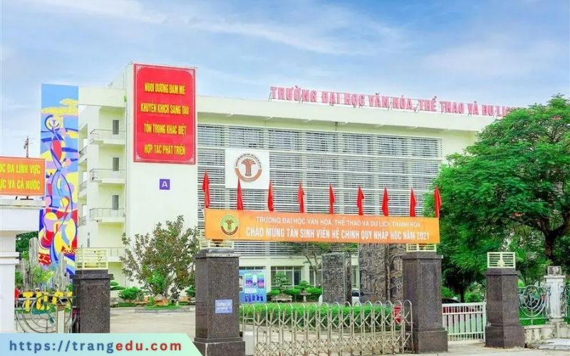 Đại học Văn hoá Thể thao Du lịch: Ngành học, điểm chuẩn và cơ hội việc ...